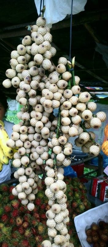 The Sourest Fruit: Yantok/Rattan Fruit - Mommy Pehpot